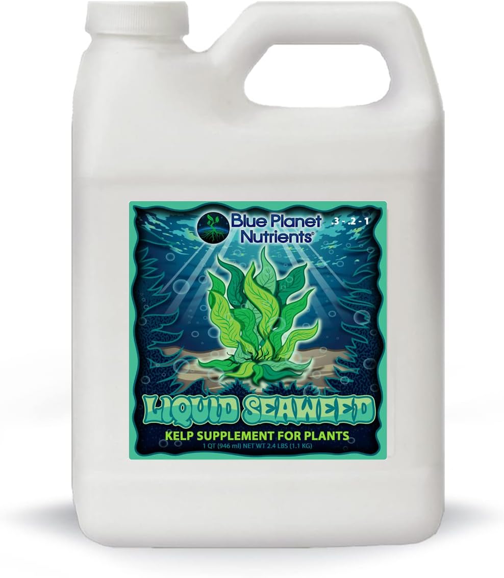 Liquid Seaweed for Plants Review - Hydroponic Gardening