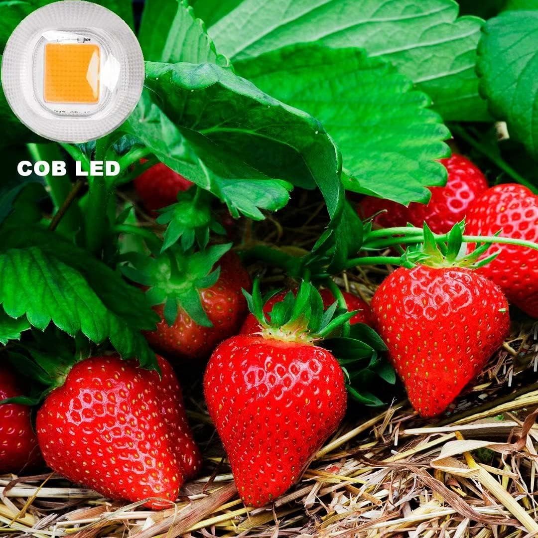 Bozily Waterproof Plant Light Review - Hydroponic Gardening