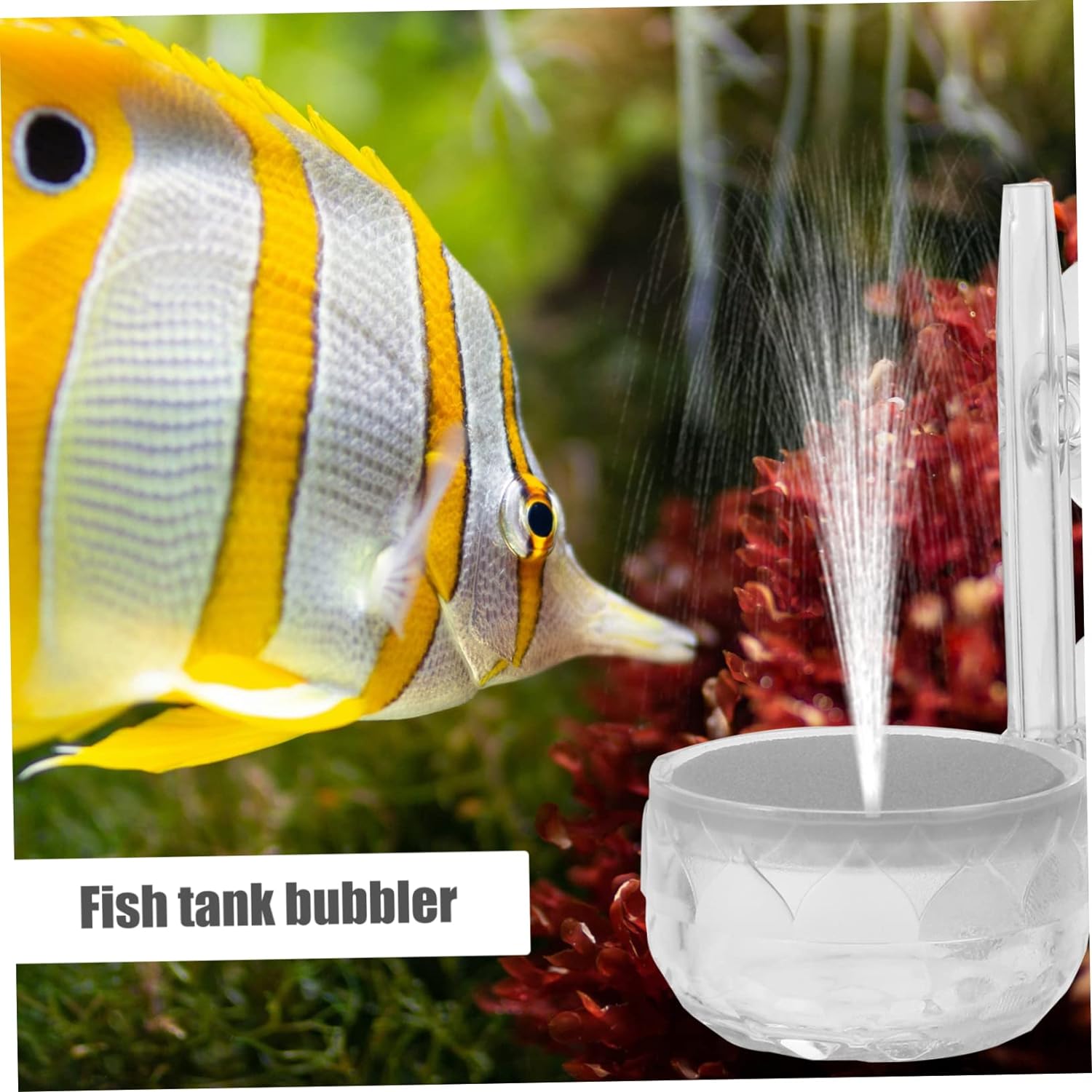 iplusmile Fish Tank Bubble Tray Aquarium Hydroponic Systems Review ...
