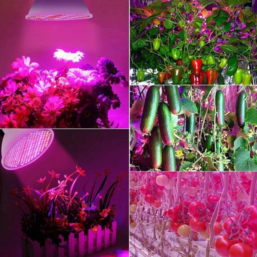 Grow Light Bulb Full Spectrum Review - Hydroponic Gardening