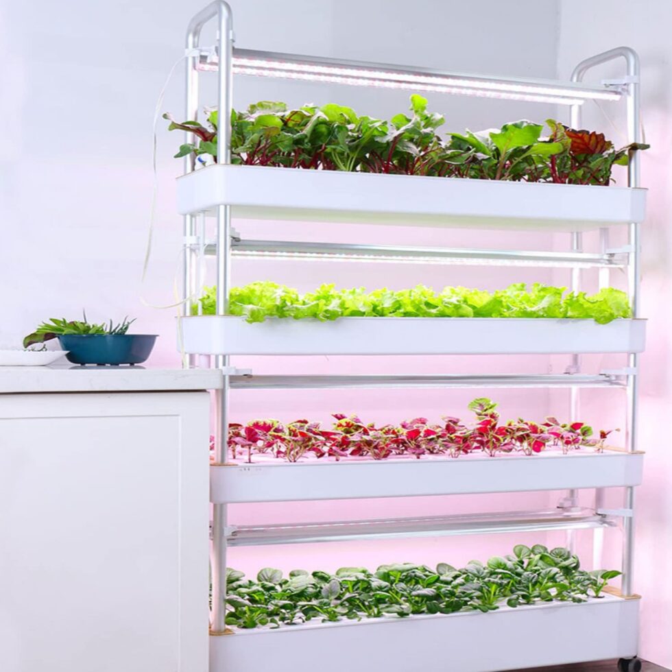 TAHALI Indoor Garden Hydroponic System Review - Hydroponic Gardening