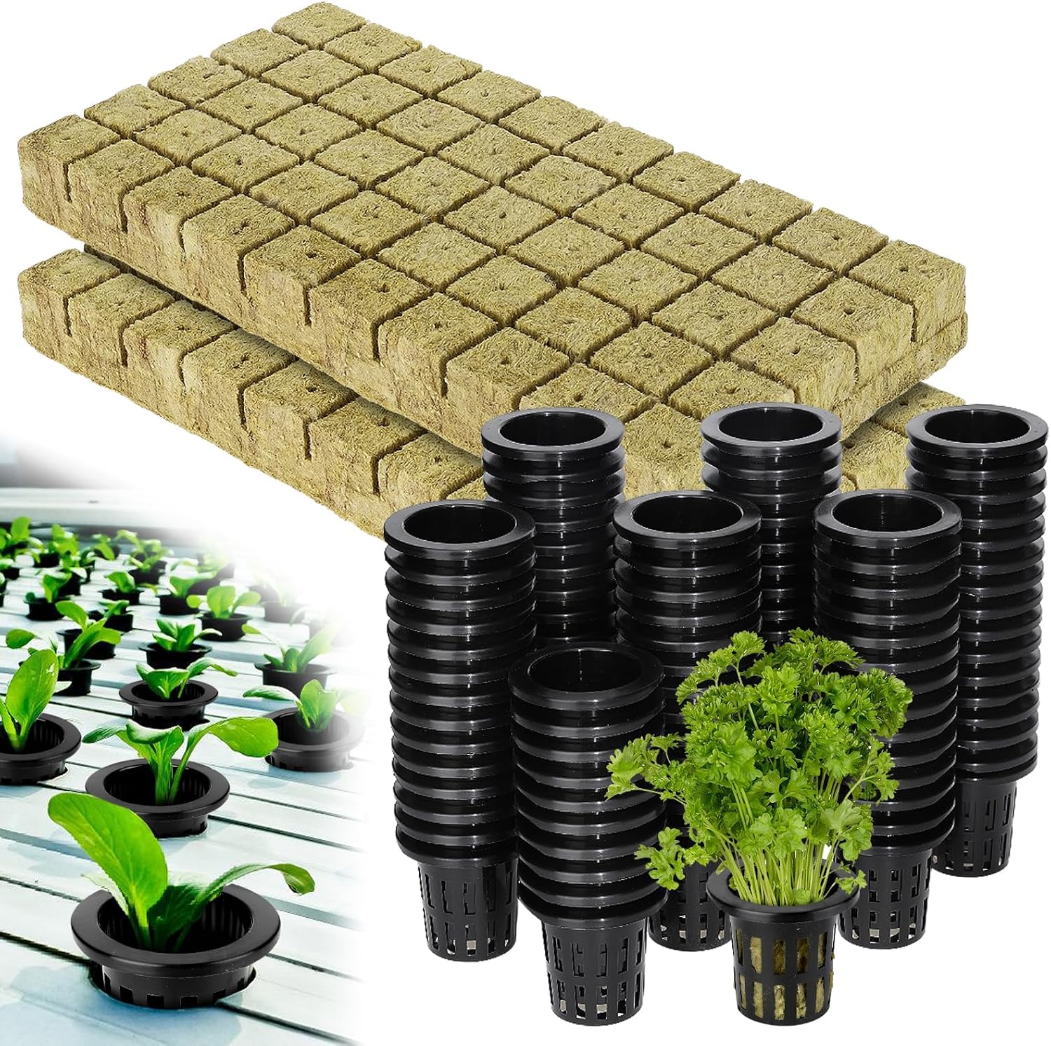 MADHOLLY Rockwool Cubes 1.5in Review - Hydroponic Gardening