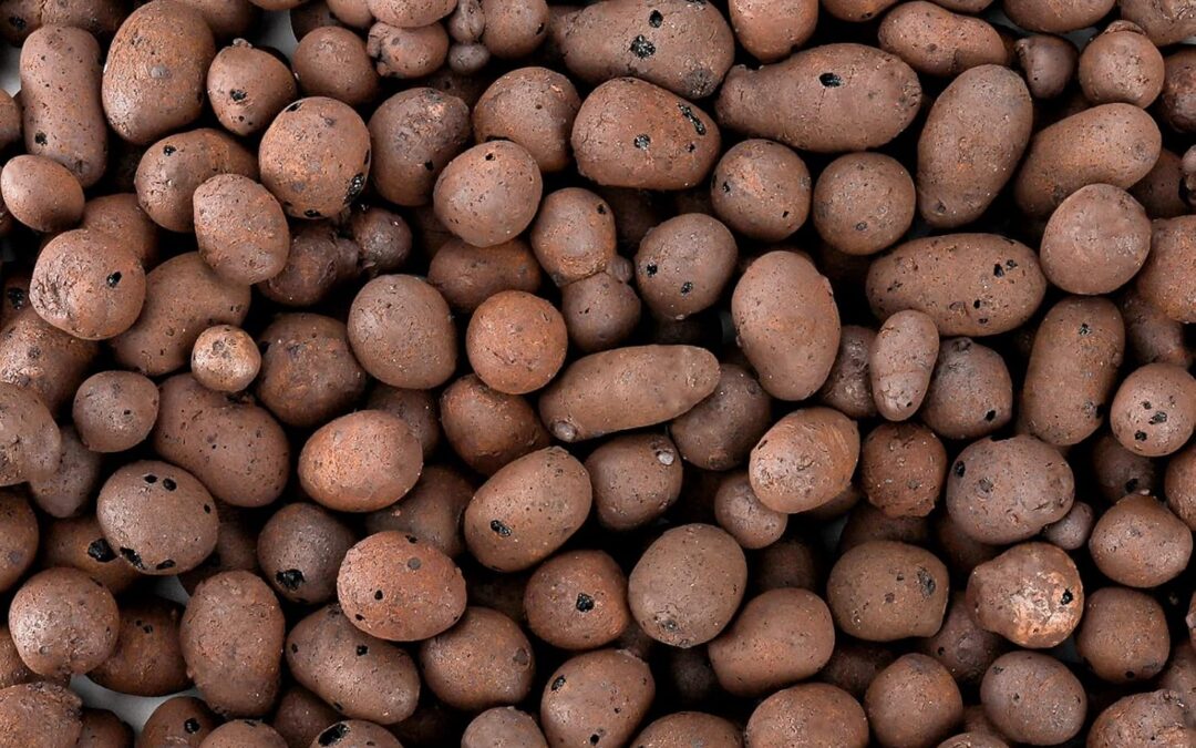 Okllen Expanded Clay Pebbles Review - Hydroponic Gardening