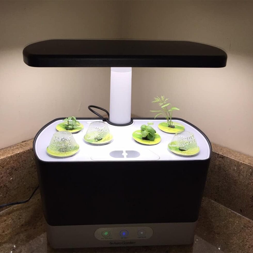 50 Pack Grow Domes Review - Hydroponic Gardening