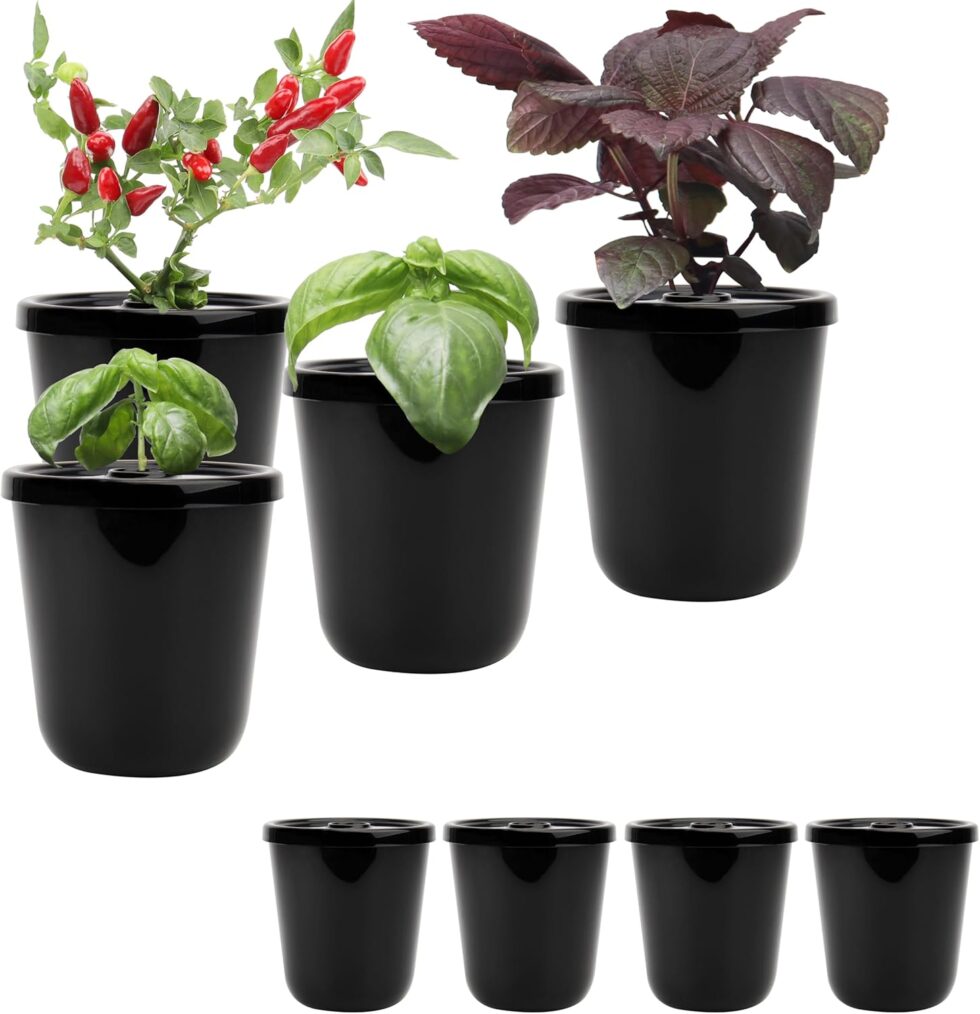 Kratky Method Hydroponic Planter Kit Review - Hydroponic Gardening